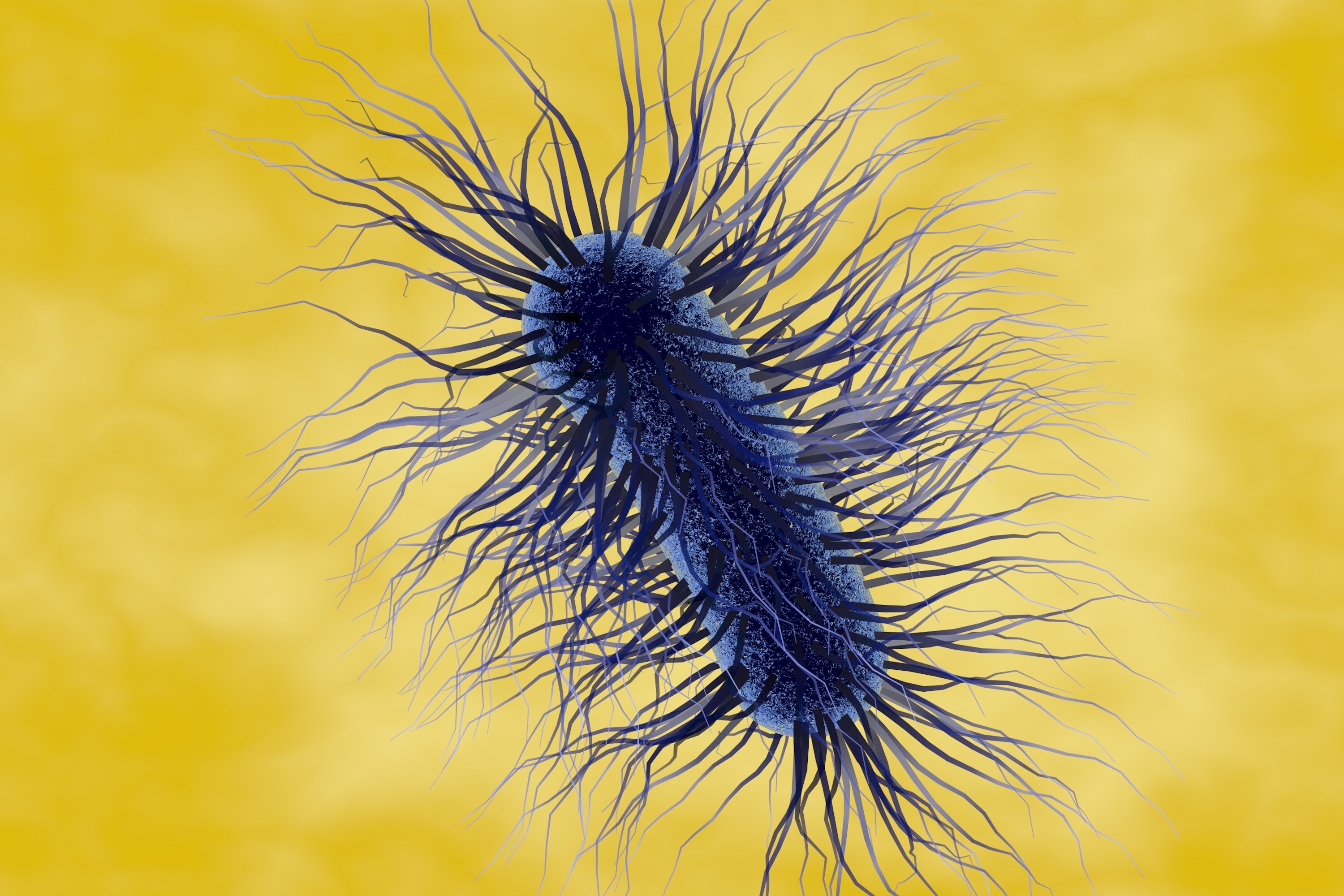 Multiresistente Bakterien in der Donau - MedMix