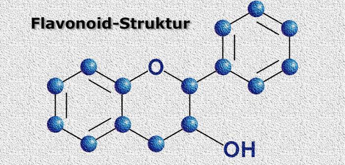 Flavonoid-Wirkung für die Herzgesundheit - MedMix